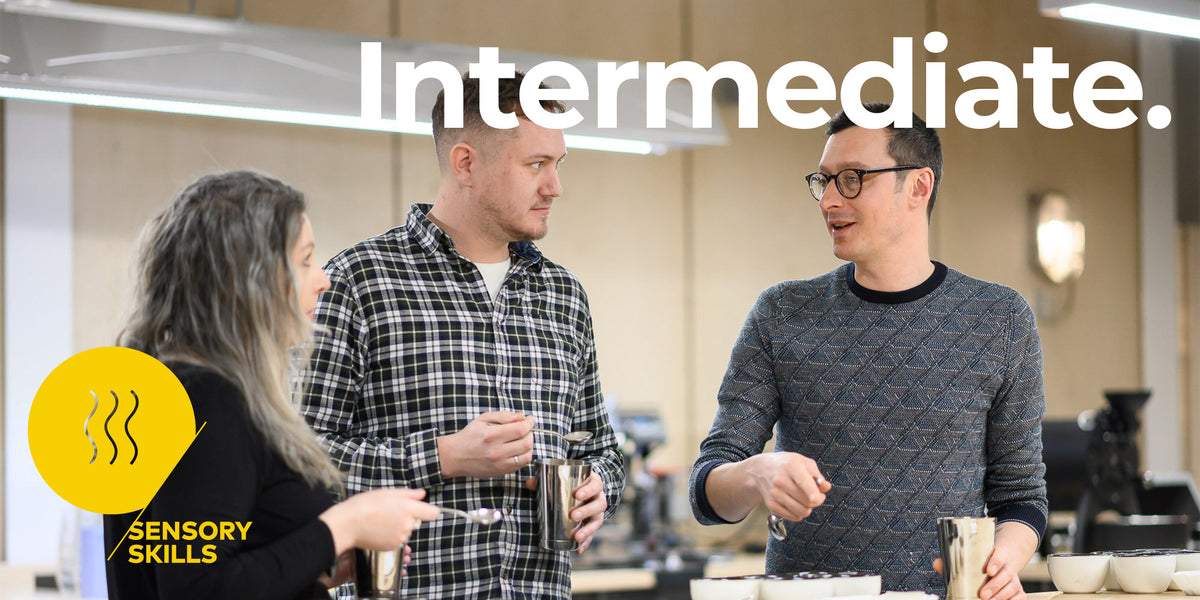 SCA Sensory Skills Intermediate – PLOT Roasting